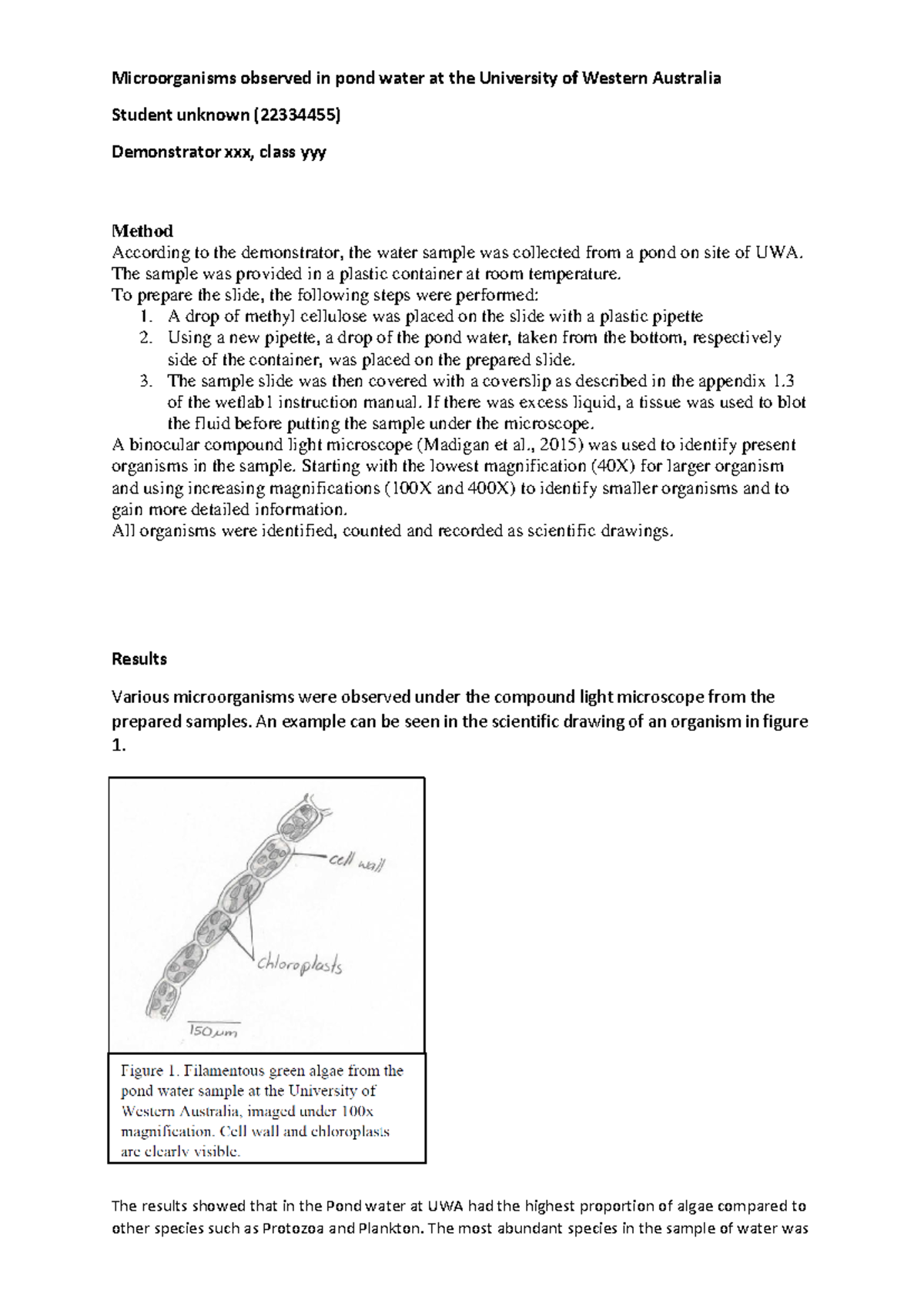 Wet Lab Report 1: Microorganisms in UWA Pond Water Sample - Studocu
