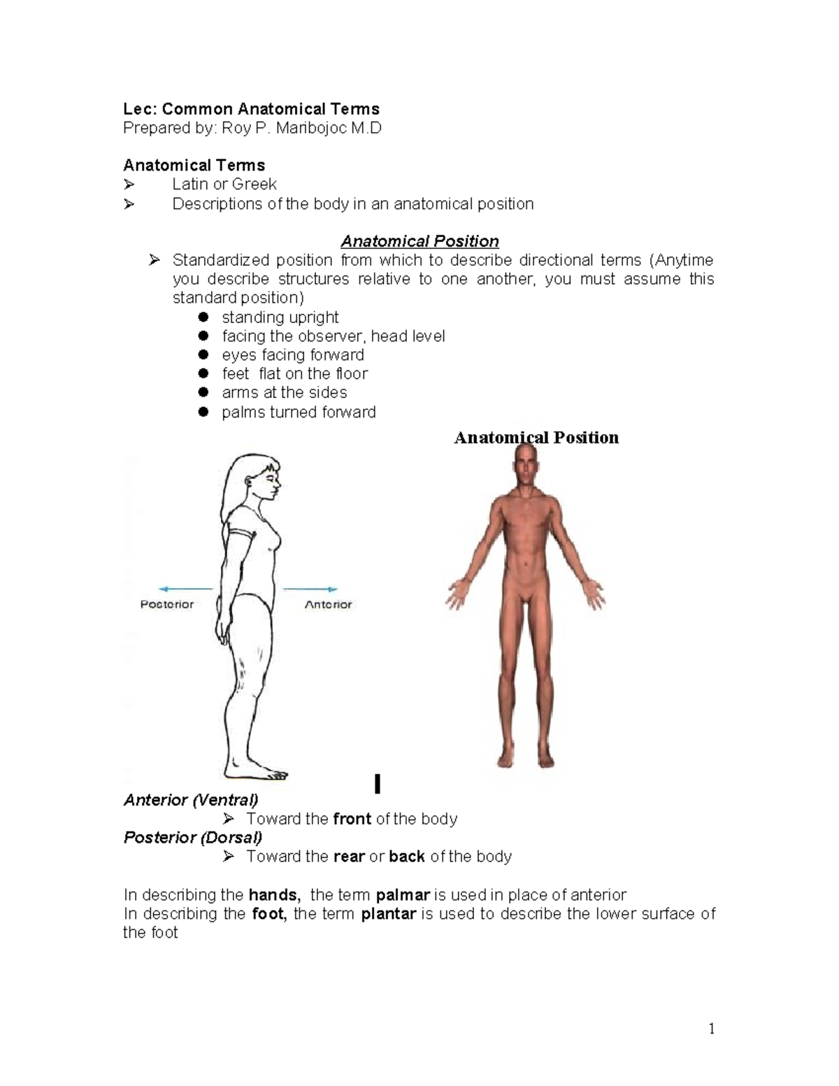 Lec: Common Anatomical Terms and Body Positioning Concepts - Studocu