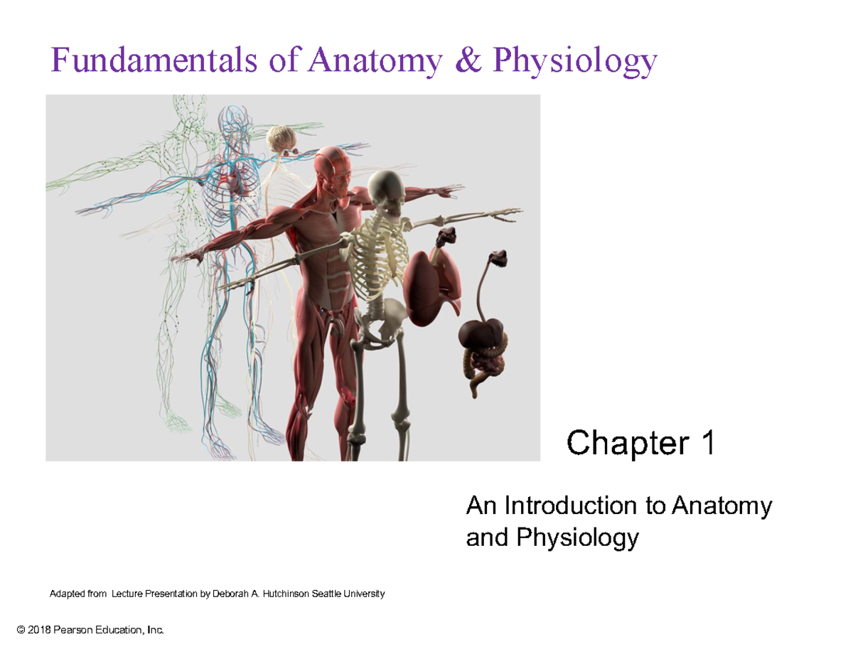 Chapter 1 Intro to Anatomy Physiology - © 2018 Pearson Education, Inc ...