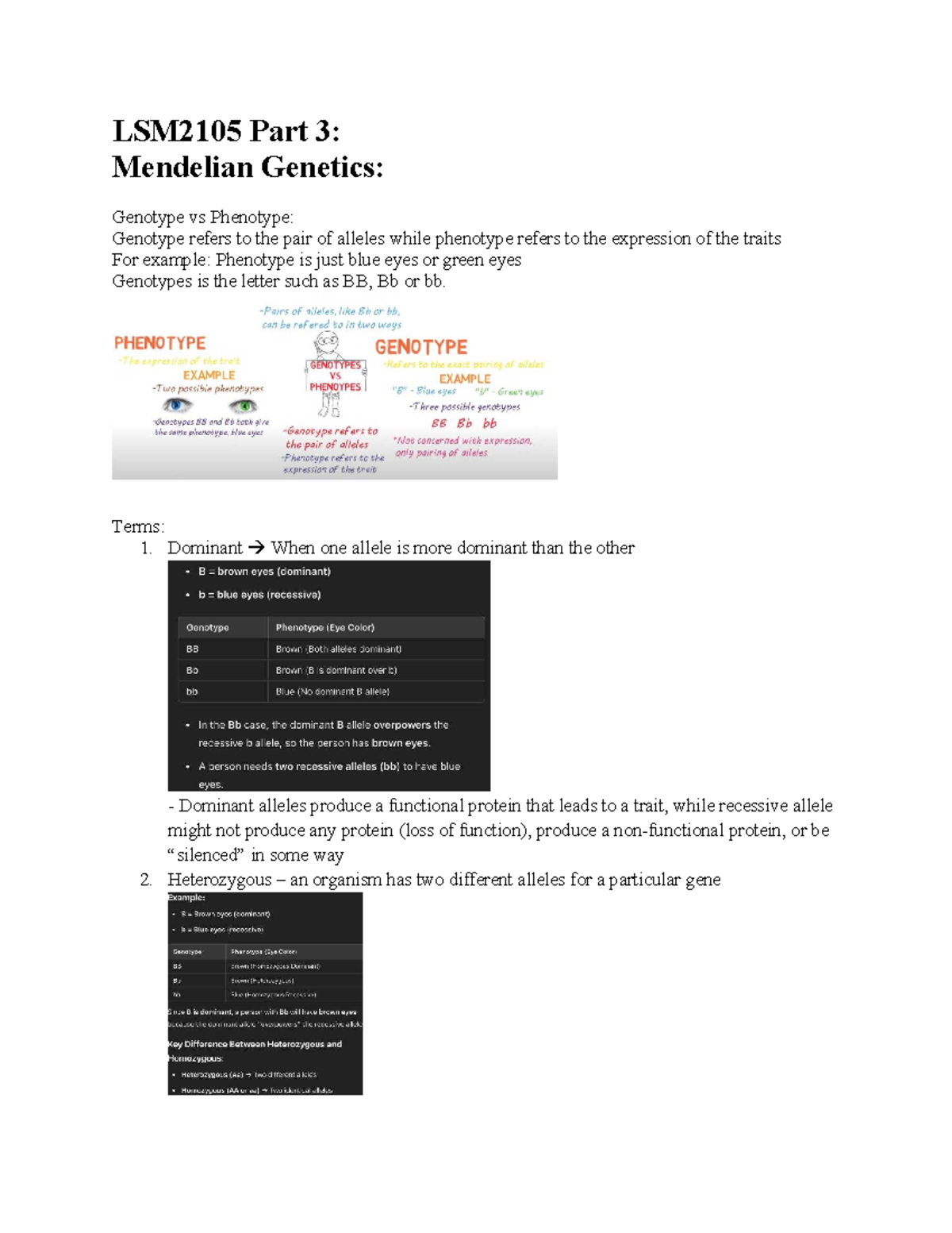 LSM2105 Lecture Notes: Mendelian Genetics - Genotype vs Phenotype - Studocu