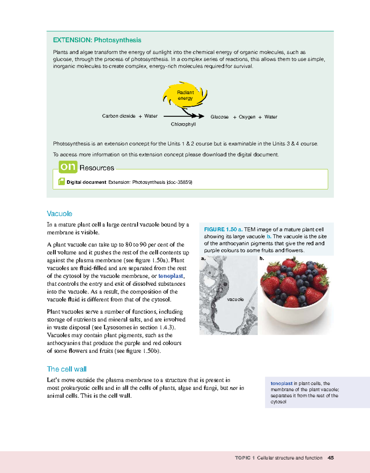VCE BIO1/2: Extension Notes on Photosynthesis and Cell Structure - Studocu