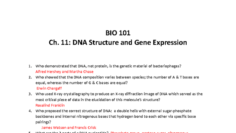 BIO 101: Ch. 11 - Overview of DNA Structure & Gene Expression - Studocu