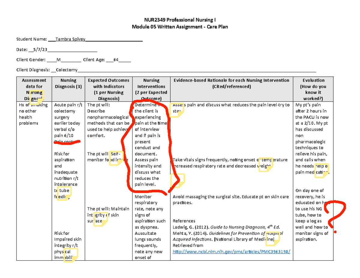 Tspivey NUR2349Module 05Written Assignment Care Plan - NUR2349 ...