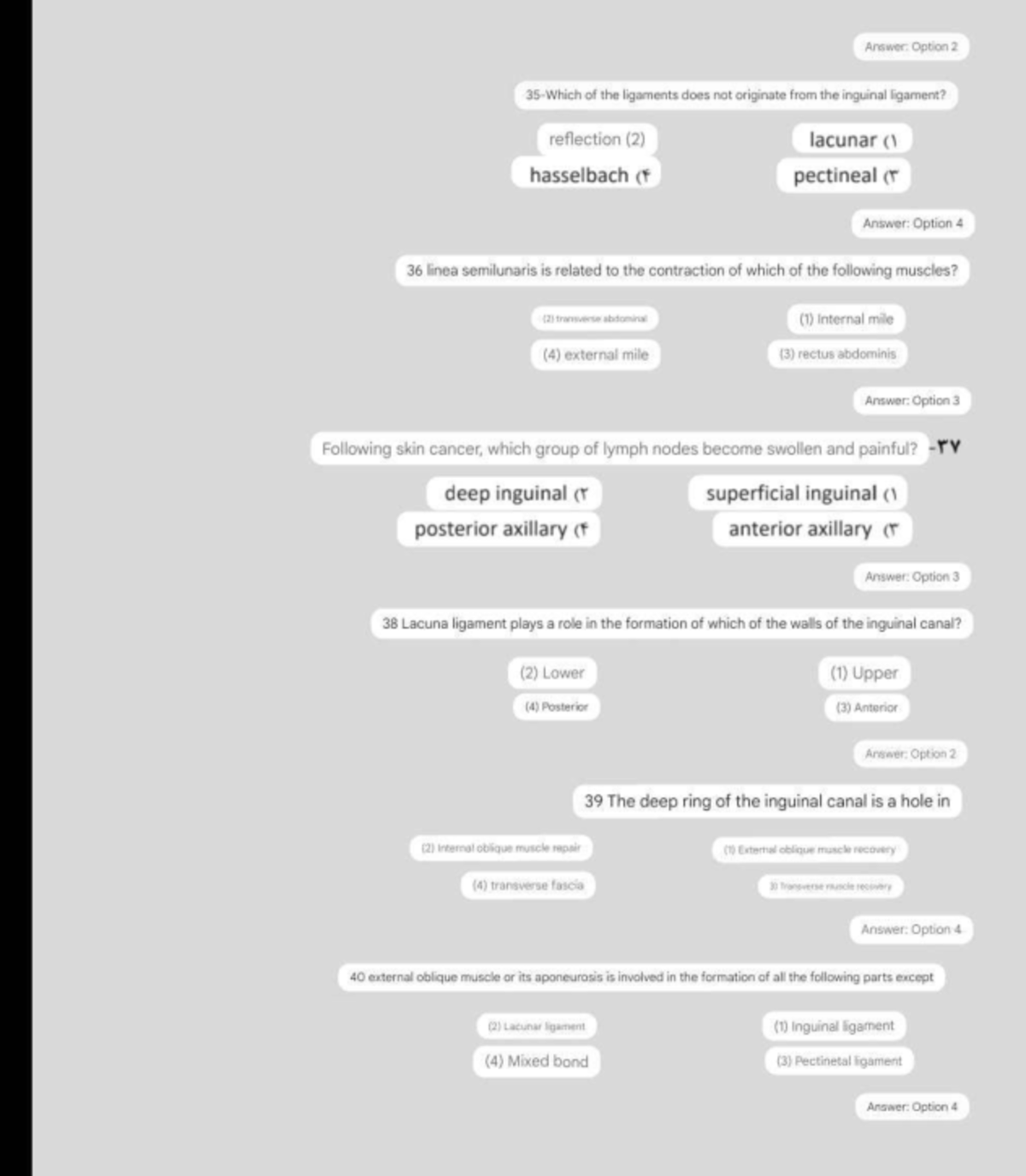 Anatomy Quiz: Inguinal Ligament & Related Structures (PHO 2024) - Studocu