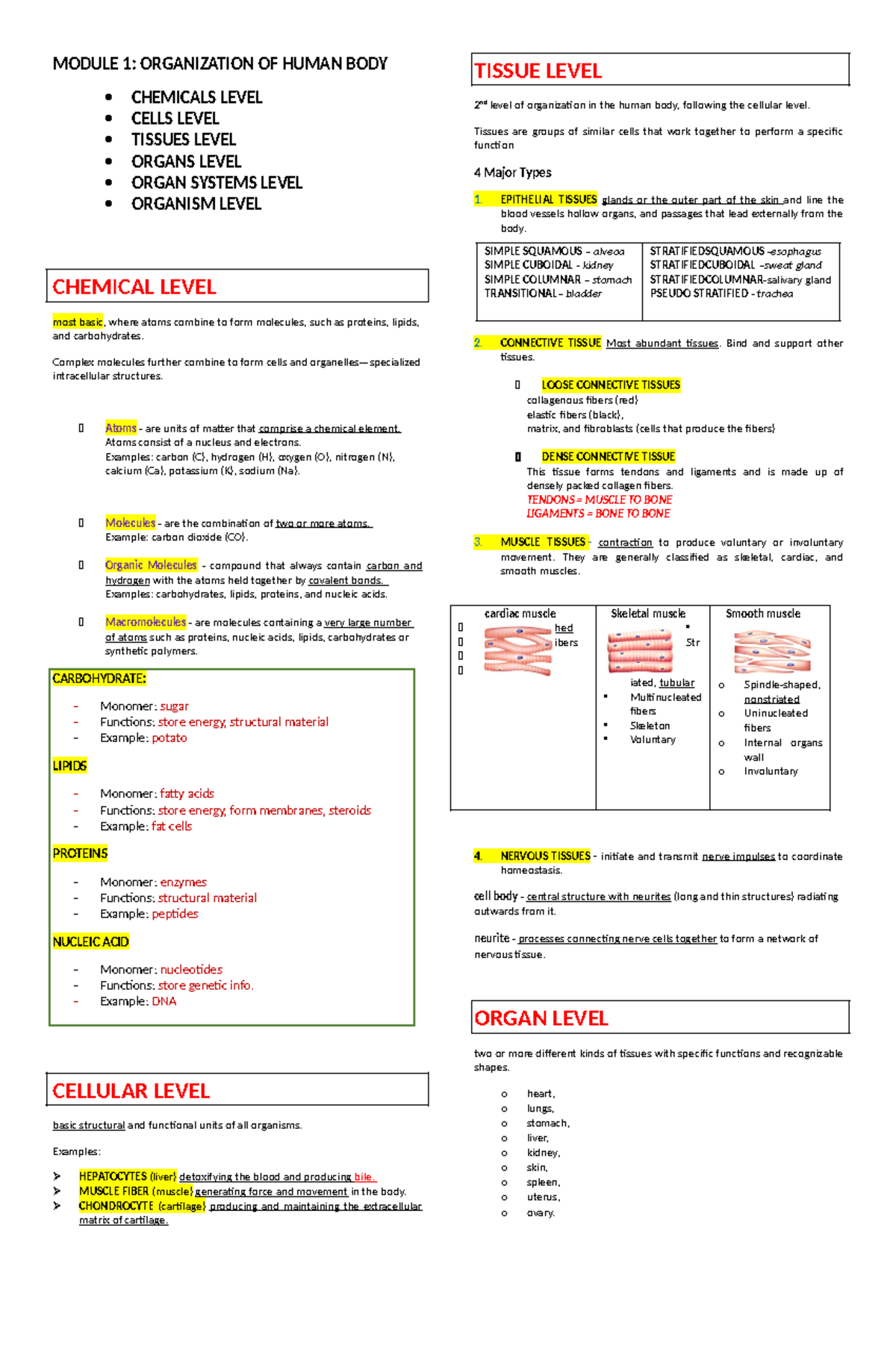 Anaphy CH 1: Organization of the Human Body Overview - Studocu