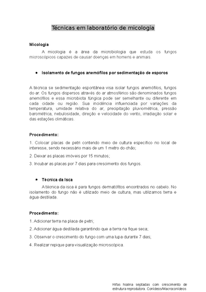 Métodos utilizados no exame parasitológico de Fezes - Métodos ...