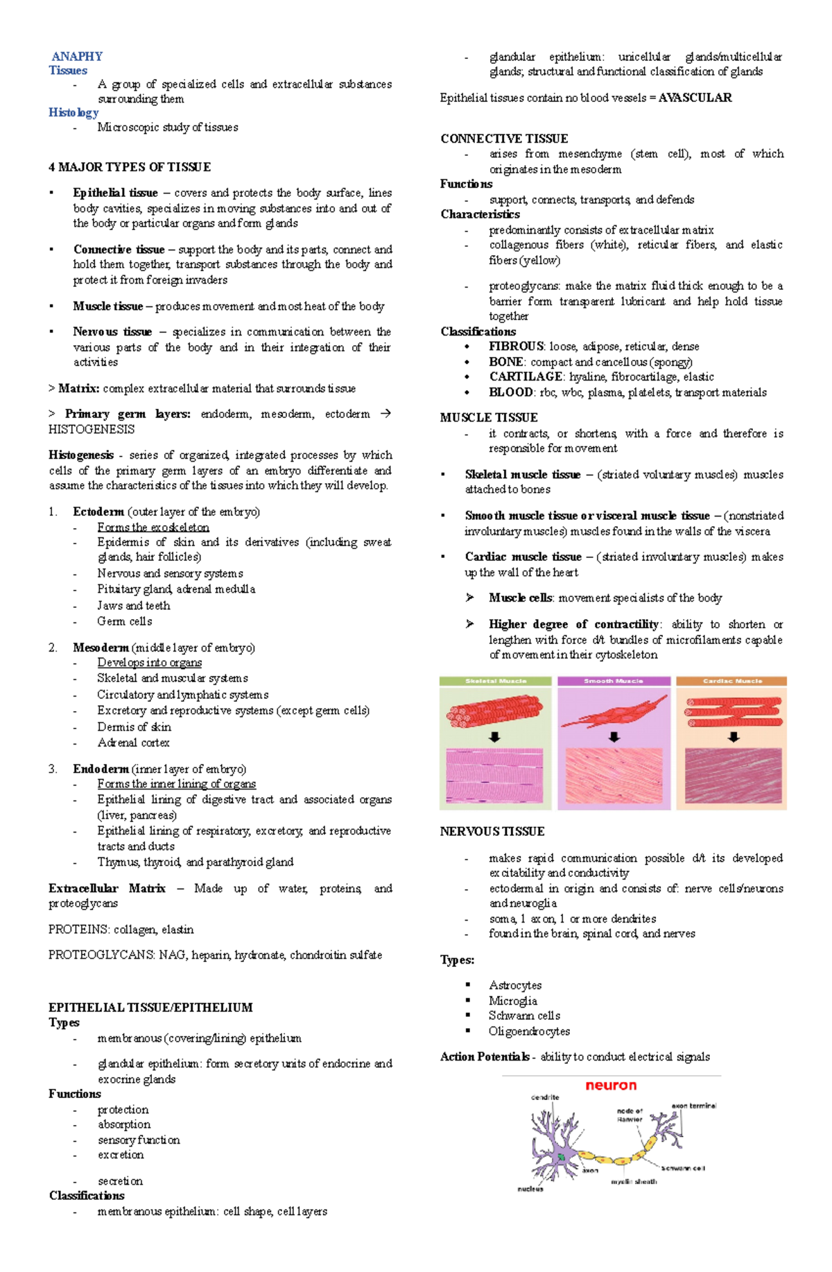 Integumentary and Skeletal System - ANAPHY Tissues - A group of specialized cells and ...
