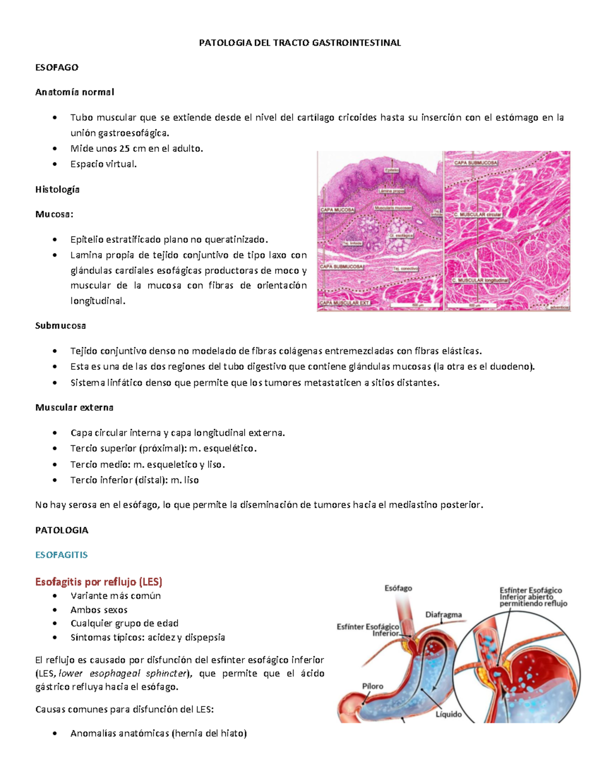 Patología del Esófago: Anatomía, Enfermedades y Neoplasias - Studocu