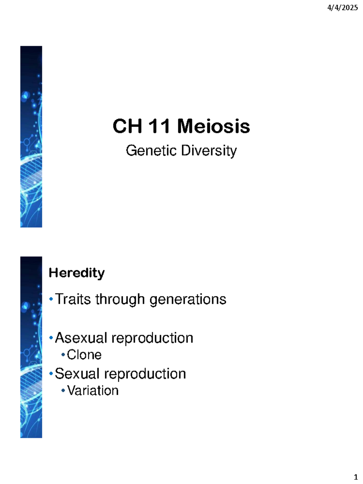 Genetic Diversity and Meiosis: Understanding Heredity and Variations ...