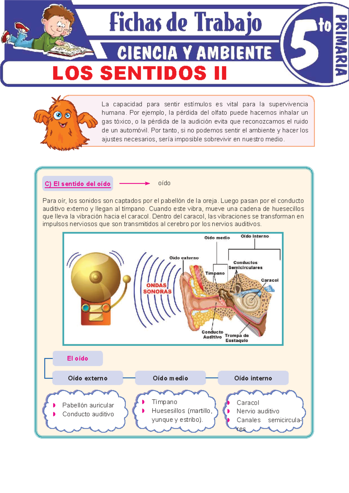 Los Sentidos II: Estudio Completo para Quinto Grado de Primaria - Studocu