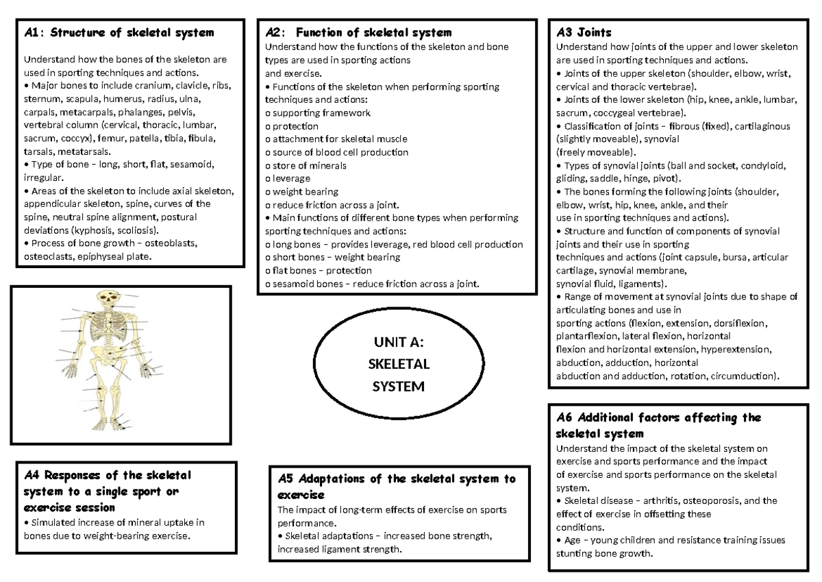 BTEC A1 Revision Sheet - UNIT A: SKELETAL SYSTEM A1: Structure of ...