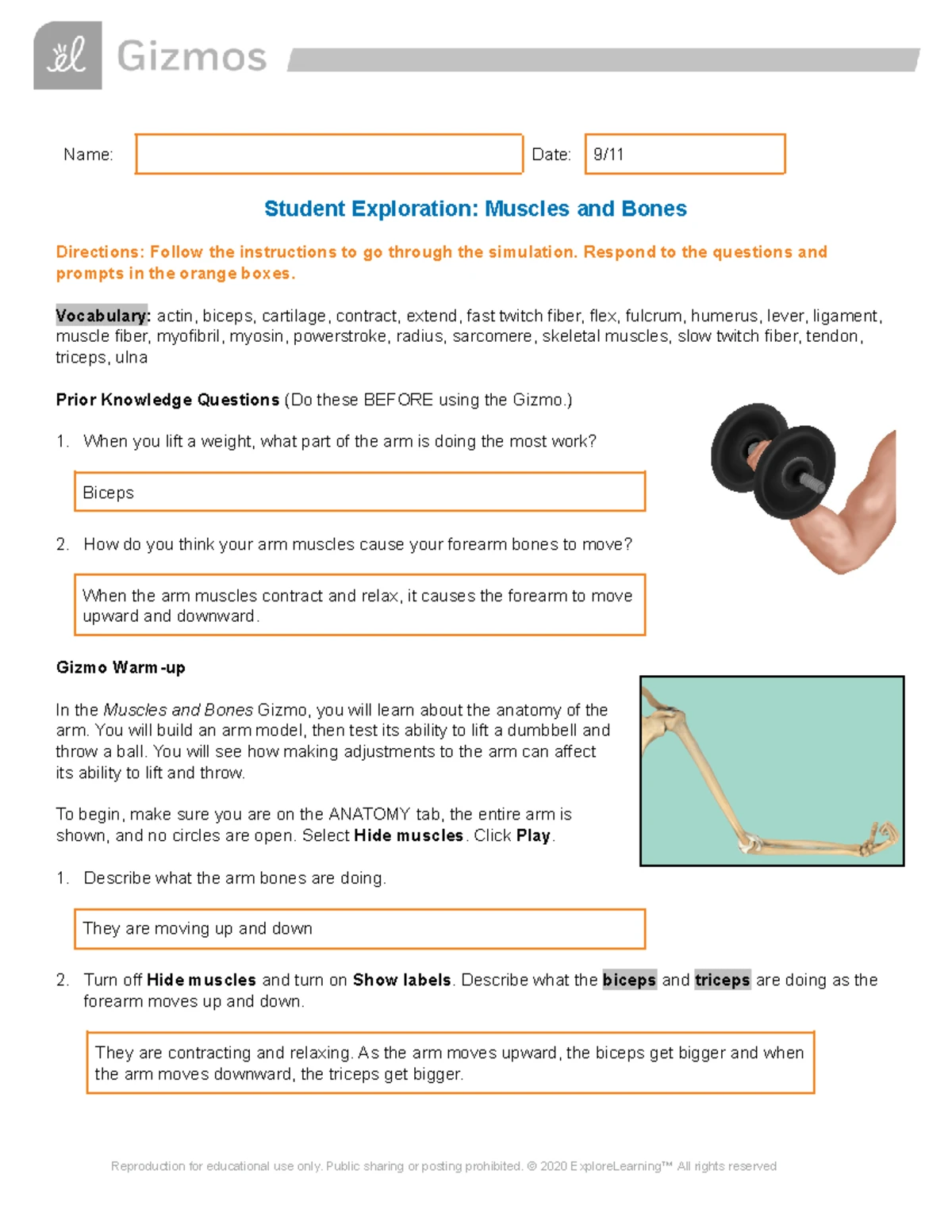 Muscle and Bones Gizmo - Name: Date: 9/ Student Exploration: Muscles ...