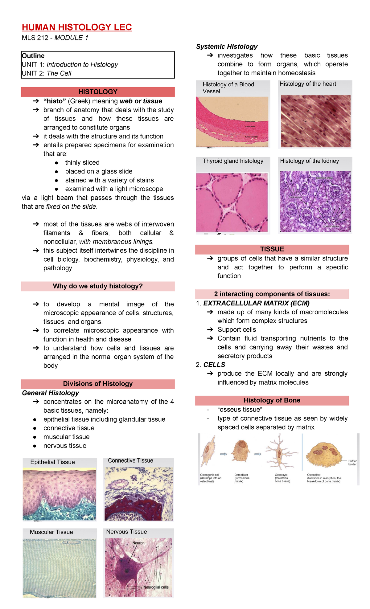 Histology Introduction: MLS 212 Lecture Notes and Key Concepts - Studocu