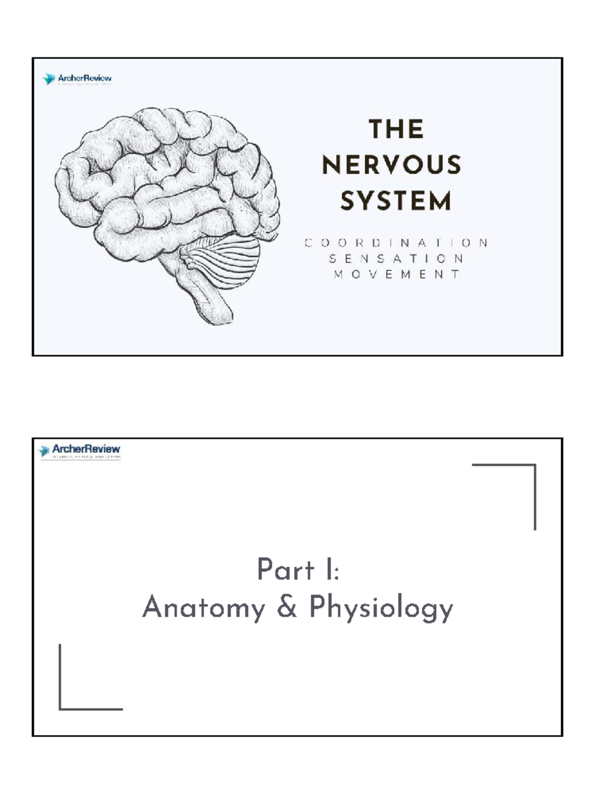 Neurology Part I: Anatomy & Physiology of the Nervous System - Studocu