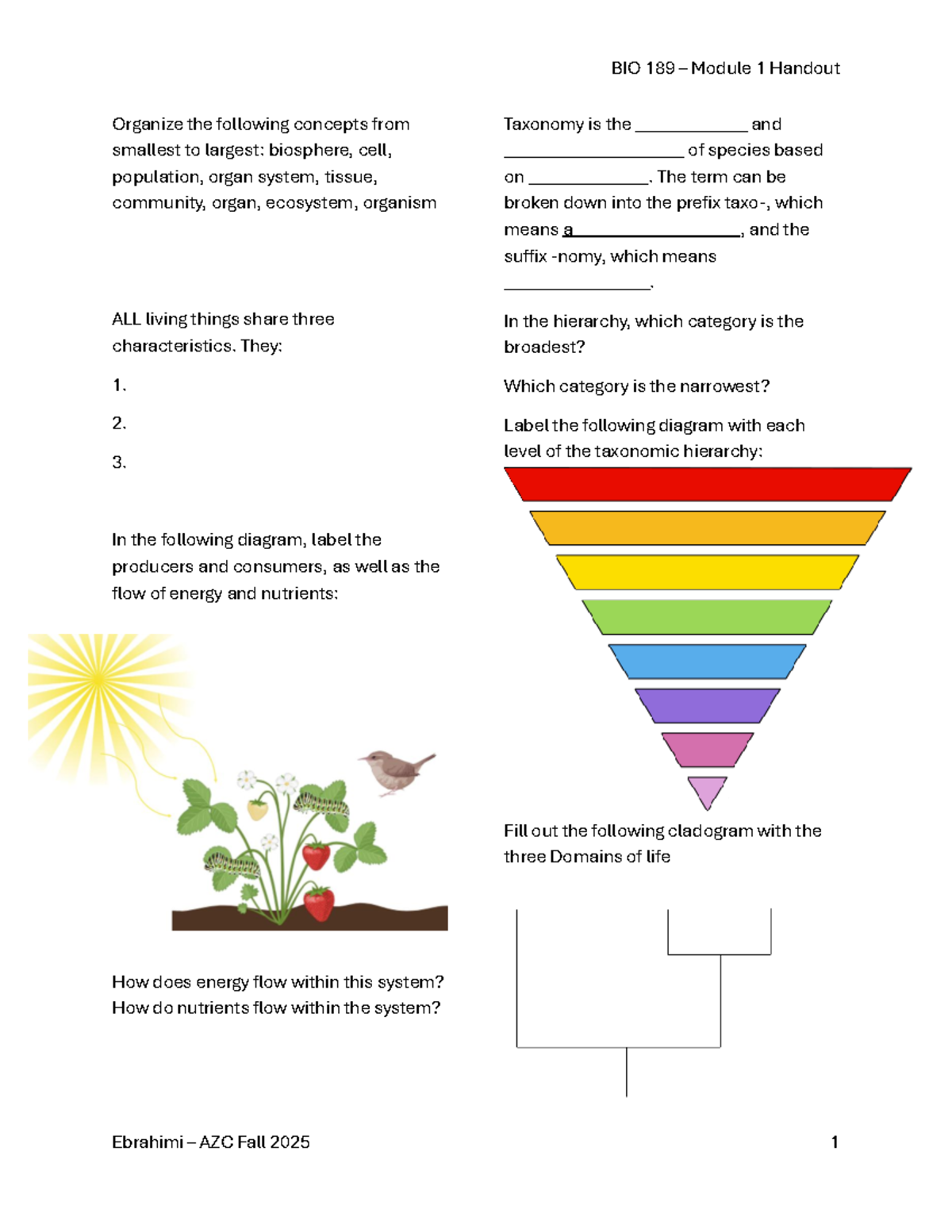BIO 189 Module 1 Handout: Taxonomy & Energy Flow Concepts - Studocu
