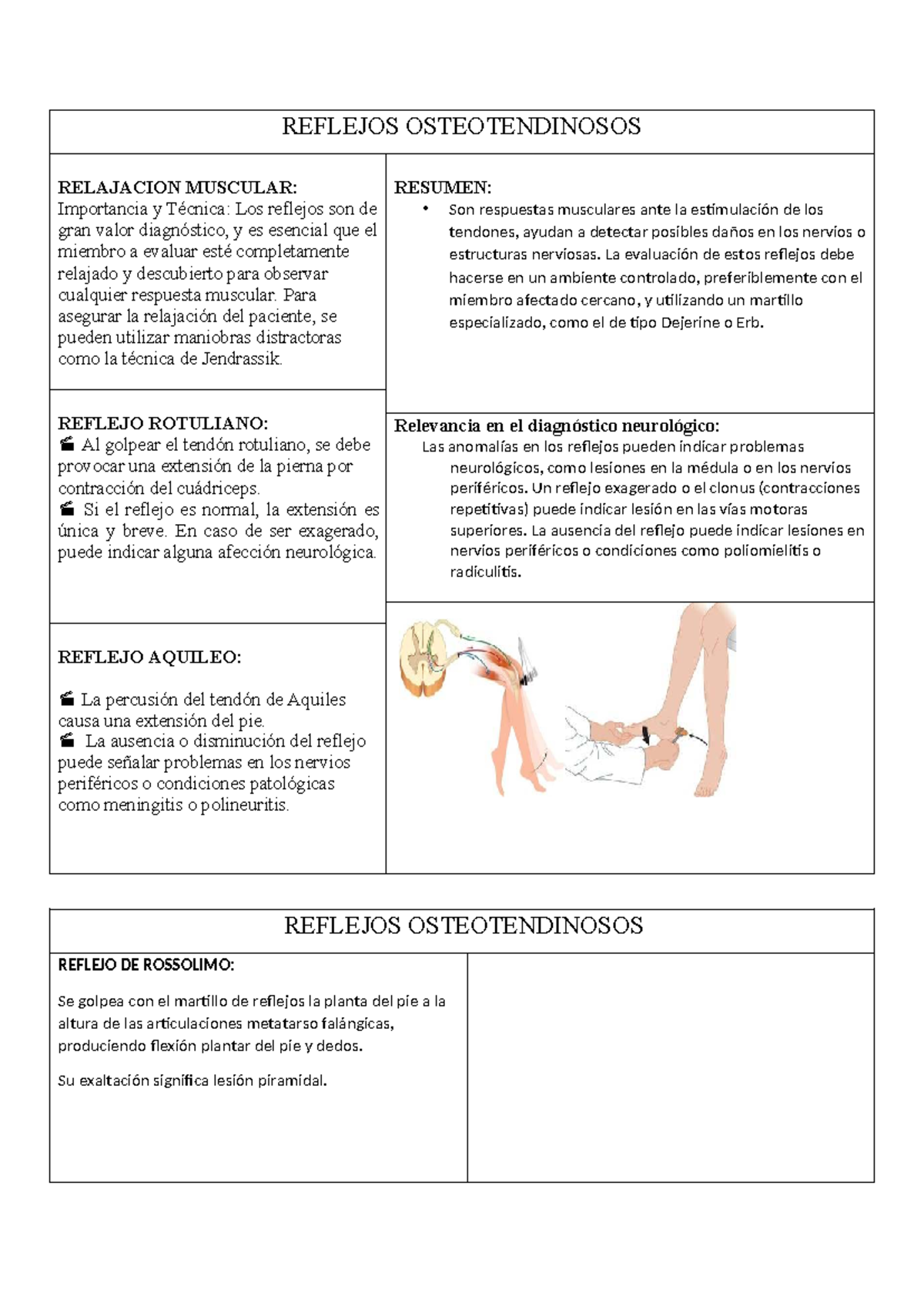 Reflejos Osteotendinosos y Relajación Muscular: Importancia y Técnica ...