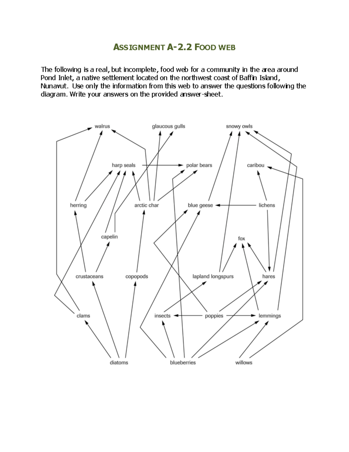 SCN2231 Assignment A-2.2: Understanding the Food Web Dynamics - Studocu