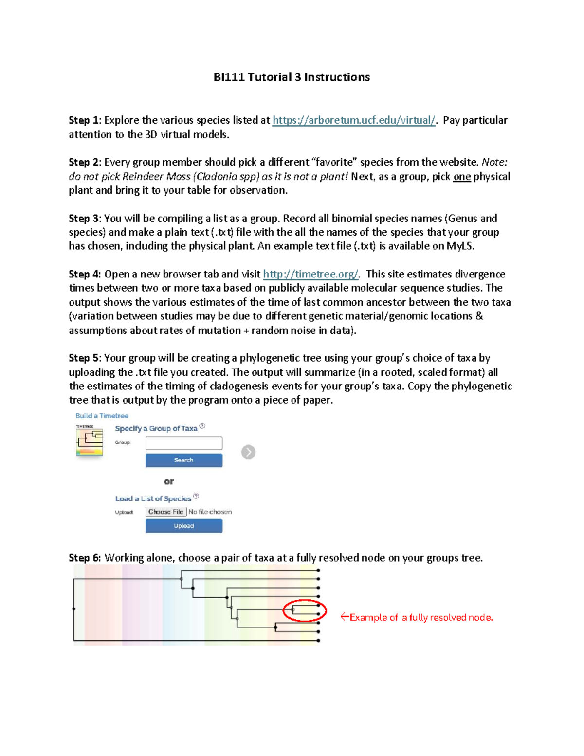 BI111 Tutorial 3: Exploring Species & Phylogenetic Tree Creation S25 ...