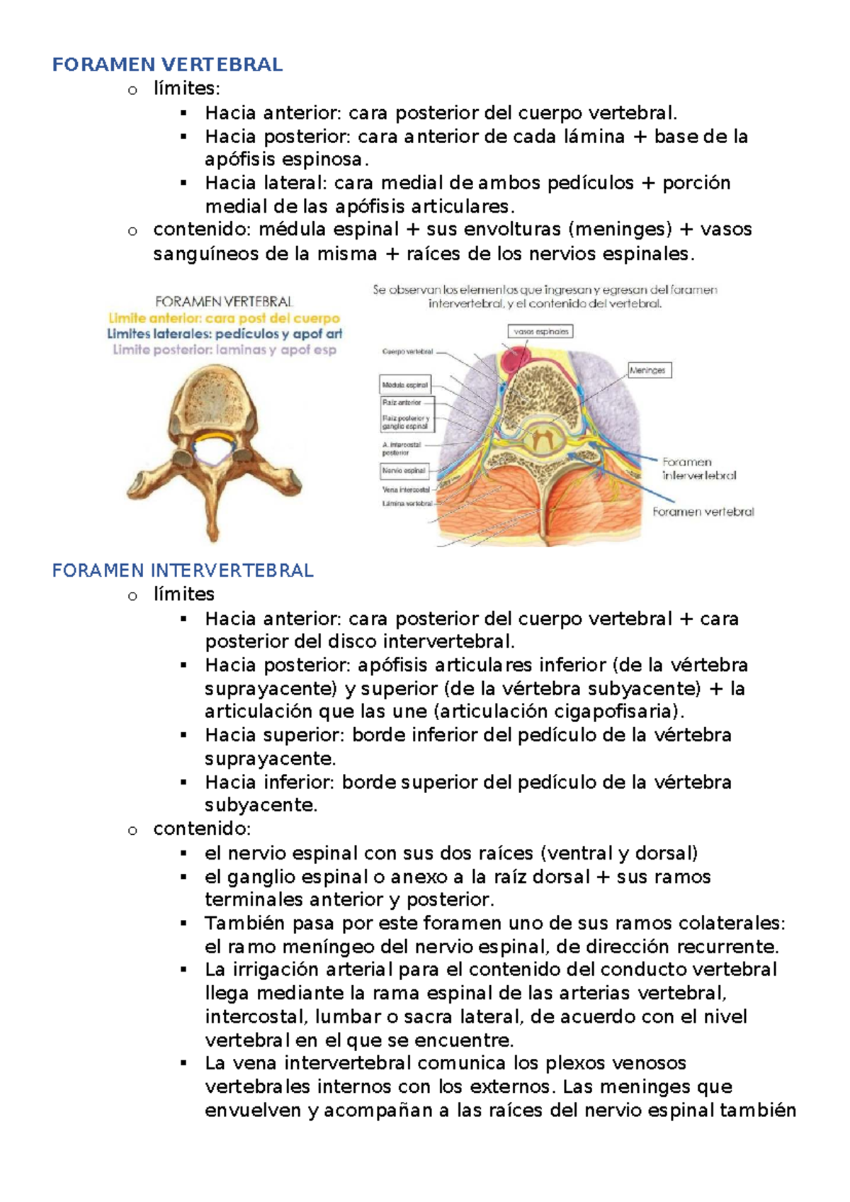Generalidades sobre el Foramen Vertebral e Intervertebral - Studocu