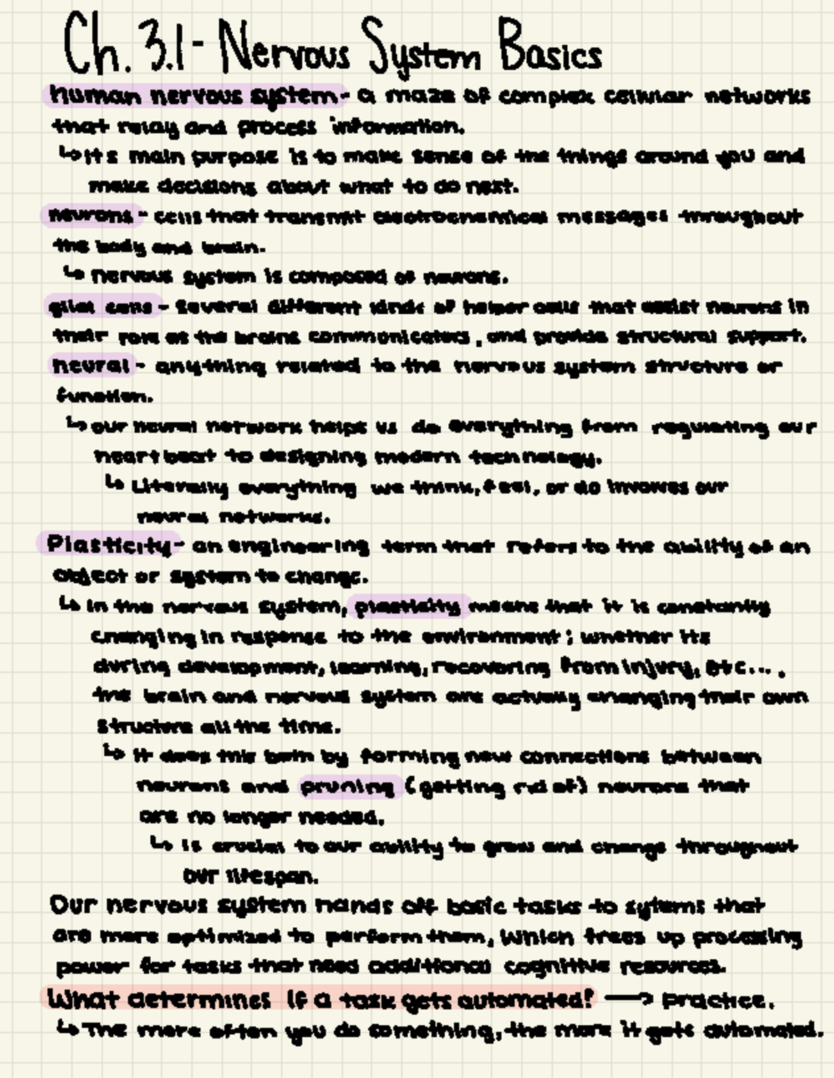 Psych 1113 - tophat ch 3.1 notes - Ch.3 Nervous System Basics human ...