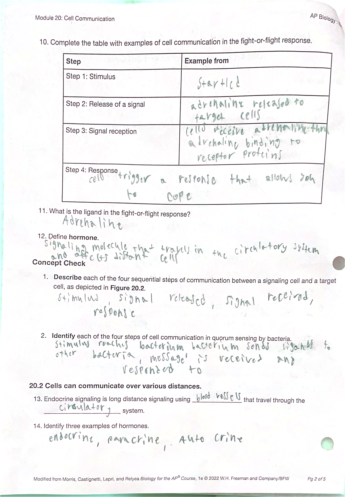 Module 20 Cell Communication - Module 20: Cell Communication AP Biology ...
