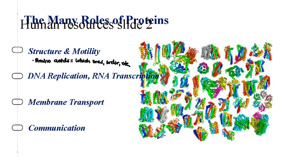 Protein Structure and Function: Overview of Levels and Key Concepts ...