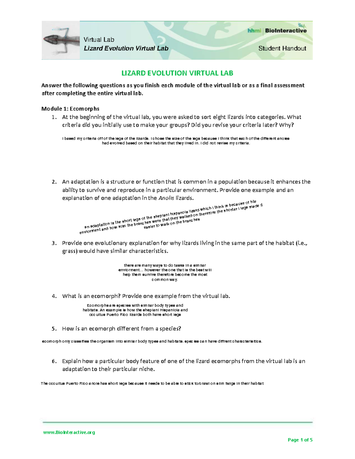 Lizard Evolution Virtual Lab Student Worksheet - BioInteractive Student ...