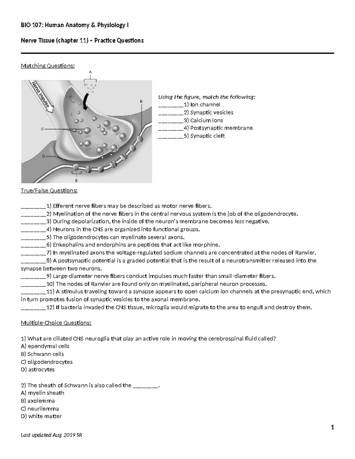 BIO 107: Human Anatomy Physiology I Nerve Tissue Practice Questions ...