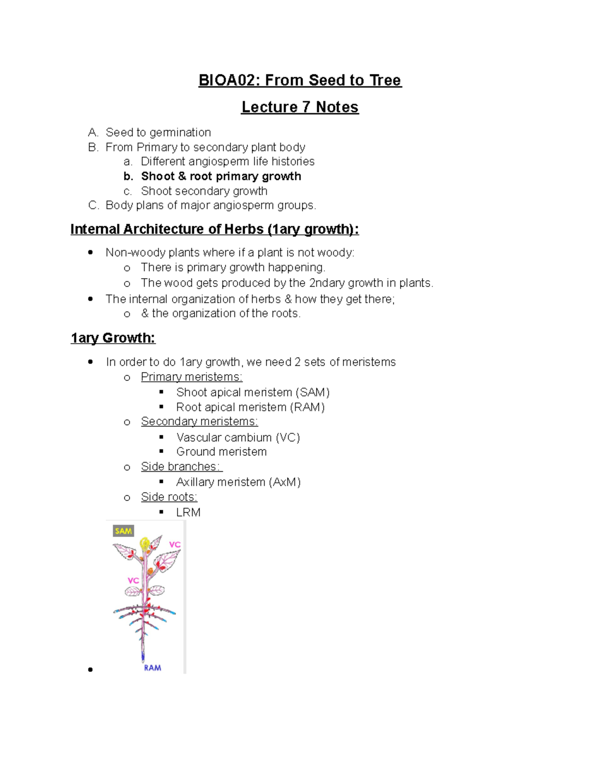 BIOA02 Lecture 7 Notes - Module 1: From Seed to Tree and Growth ...