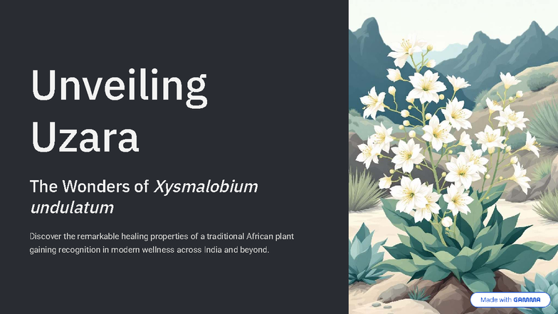 Uzara (Xysmalobium undulatum): Healing Properties & Cultivation ...