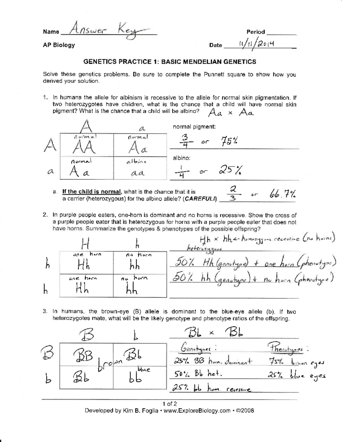Genetics Practice 1 Answer Key - AP Biology - Studocu