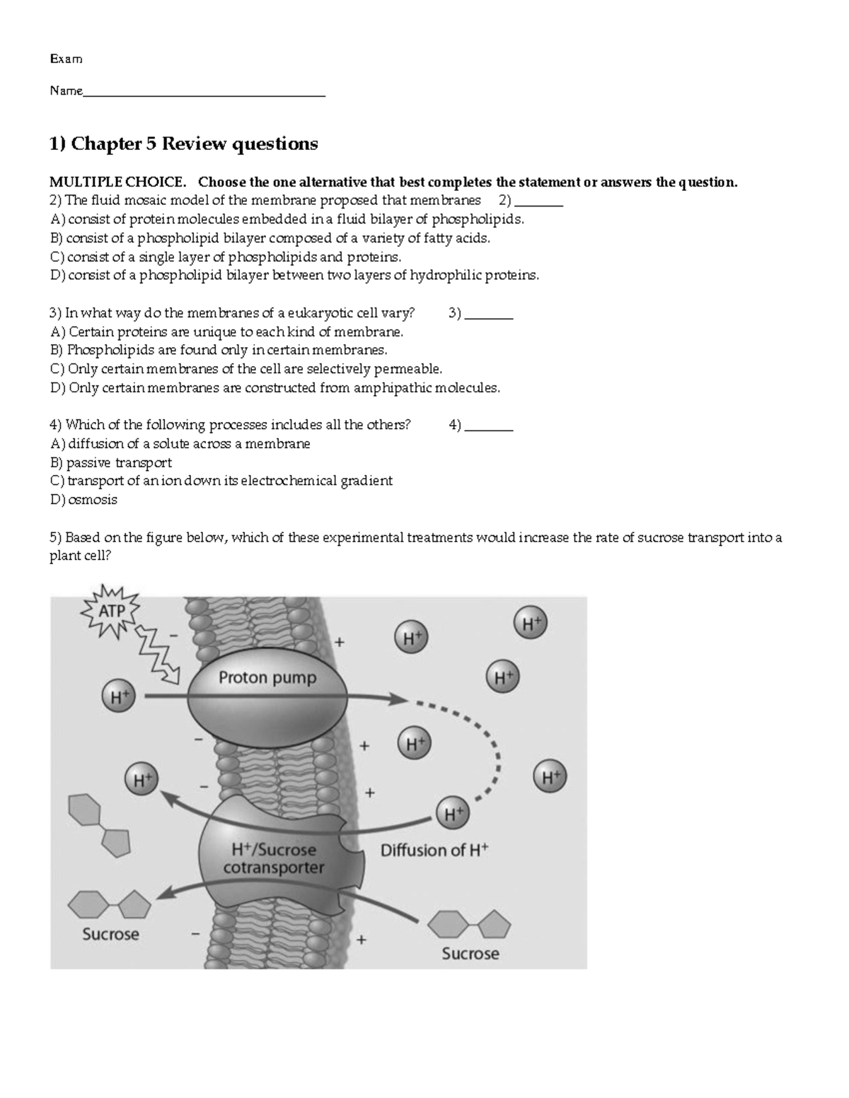 Biology 101 Final Exam Review: Key Concepts & Questions - Studocu