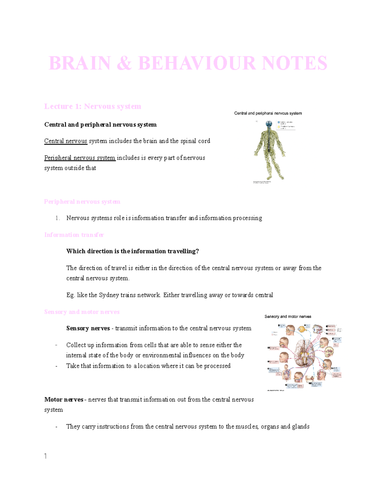 BRAIN & BEHAVIOUR (PSY100): Lecture Notes on Nervous System Functions ...