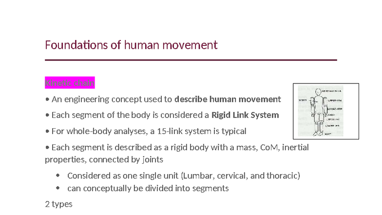 Foundations of Human Movement: Kinetic Chain Concepts and Analysis ...