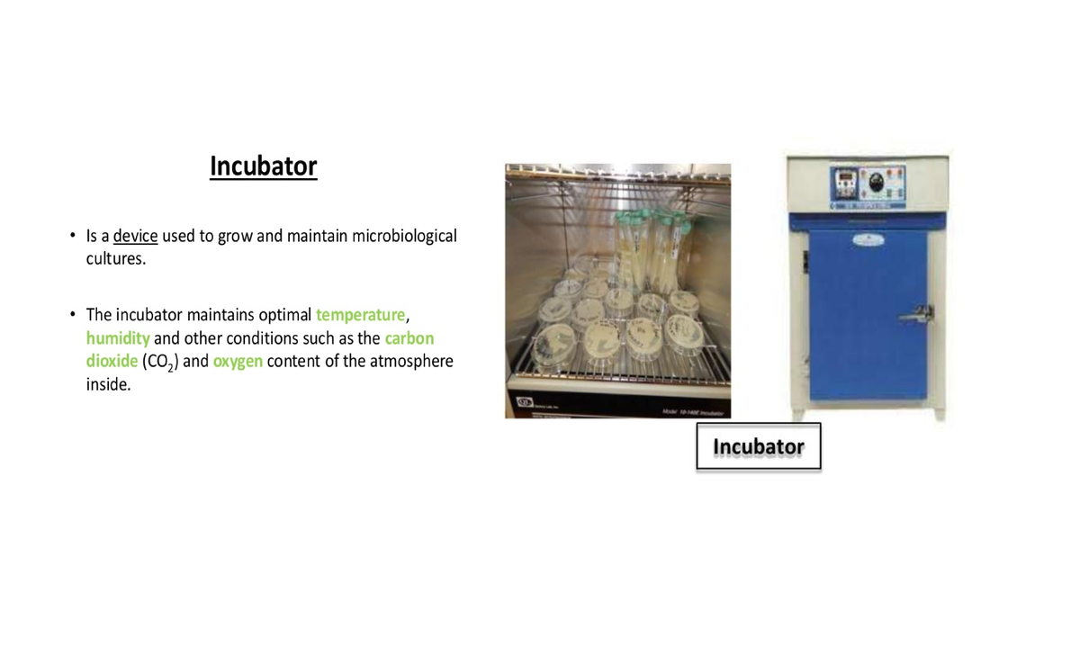 Microbio-apparatus - Microbiology apparatus - Incubator Is a device ...