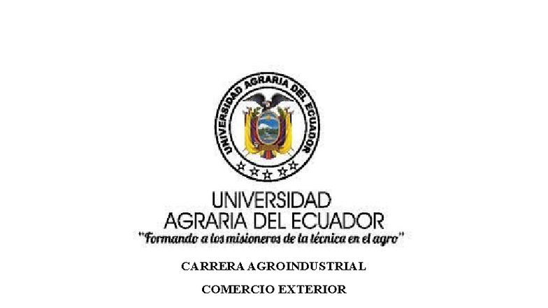 Incoterms 2020: Análisis y Responsabilidades en Comercio Exterior ...