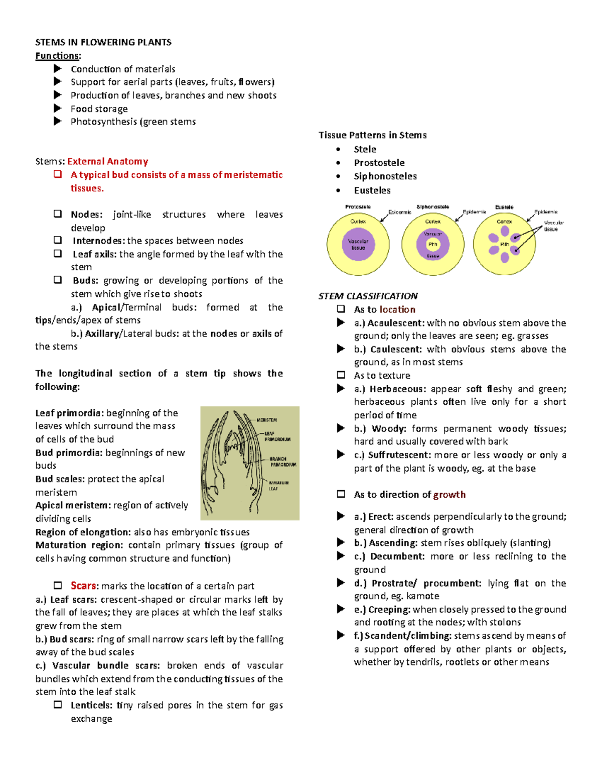 Anatomy and Function of Stems in Flowering Plants: Chapter Overview ...