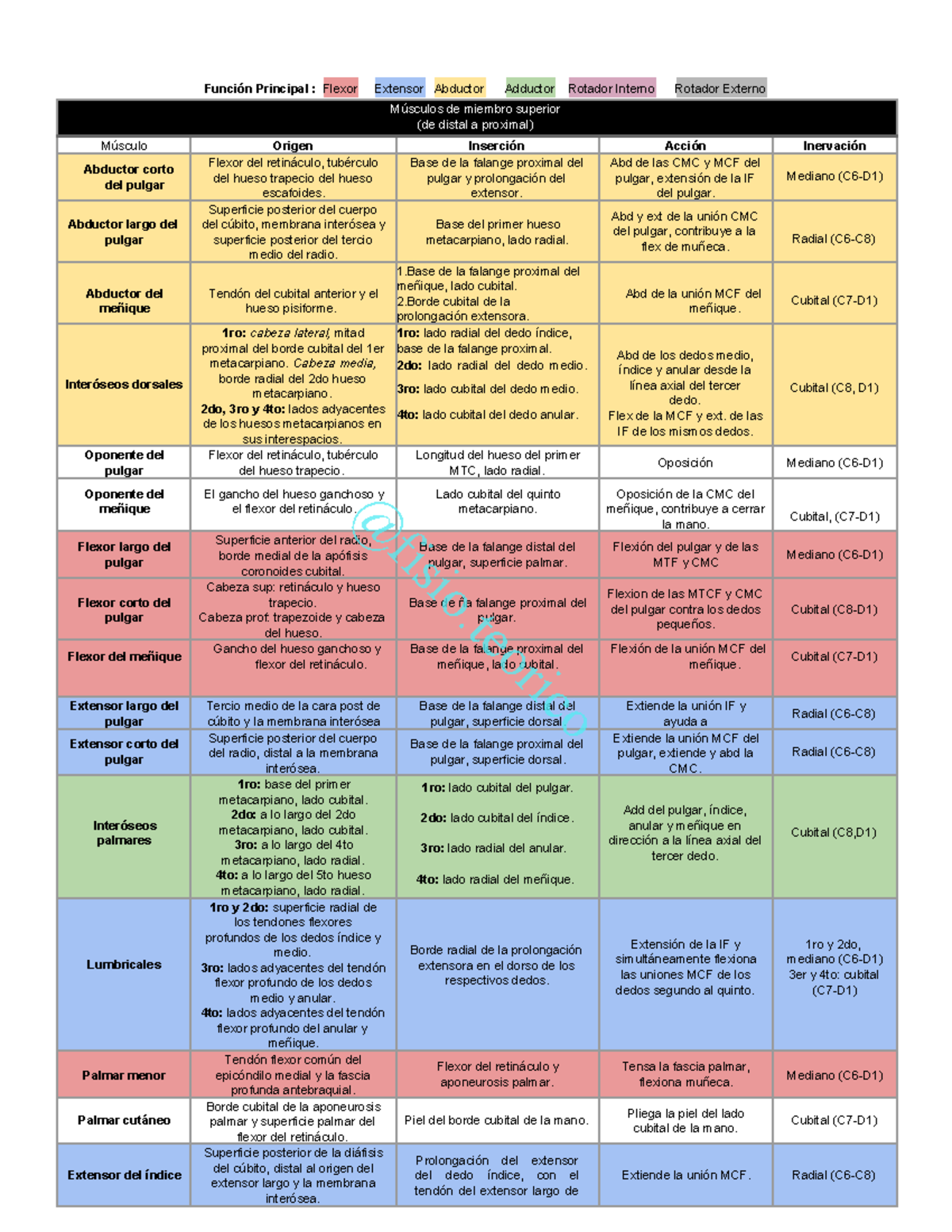 Tabla Muscular: Origen e Inserción de Músculos del Miembro Superior e ...