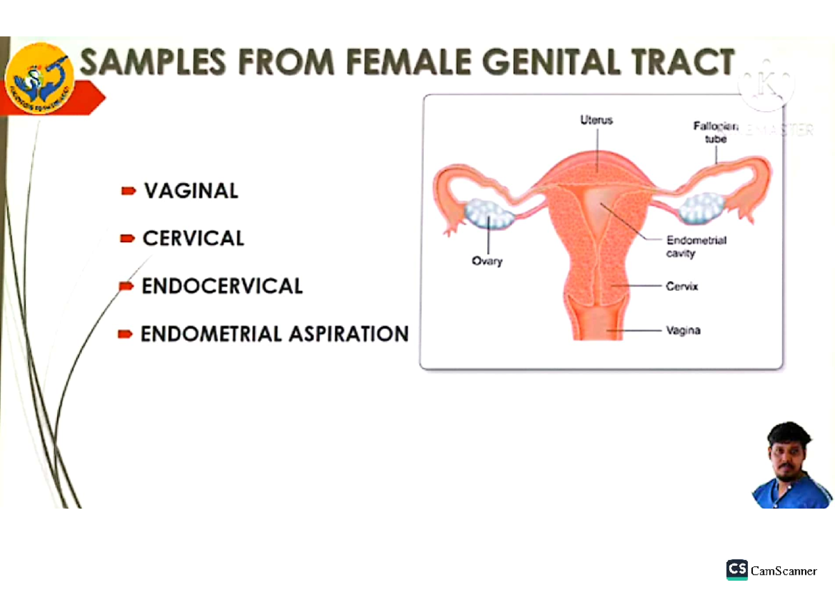 Female Genital Tract Sampling Techniques: A Comprehensive Guide - Studocu