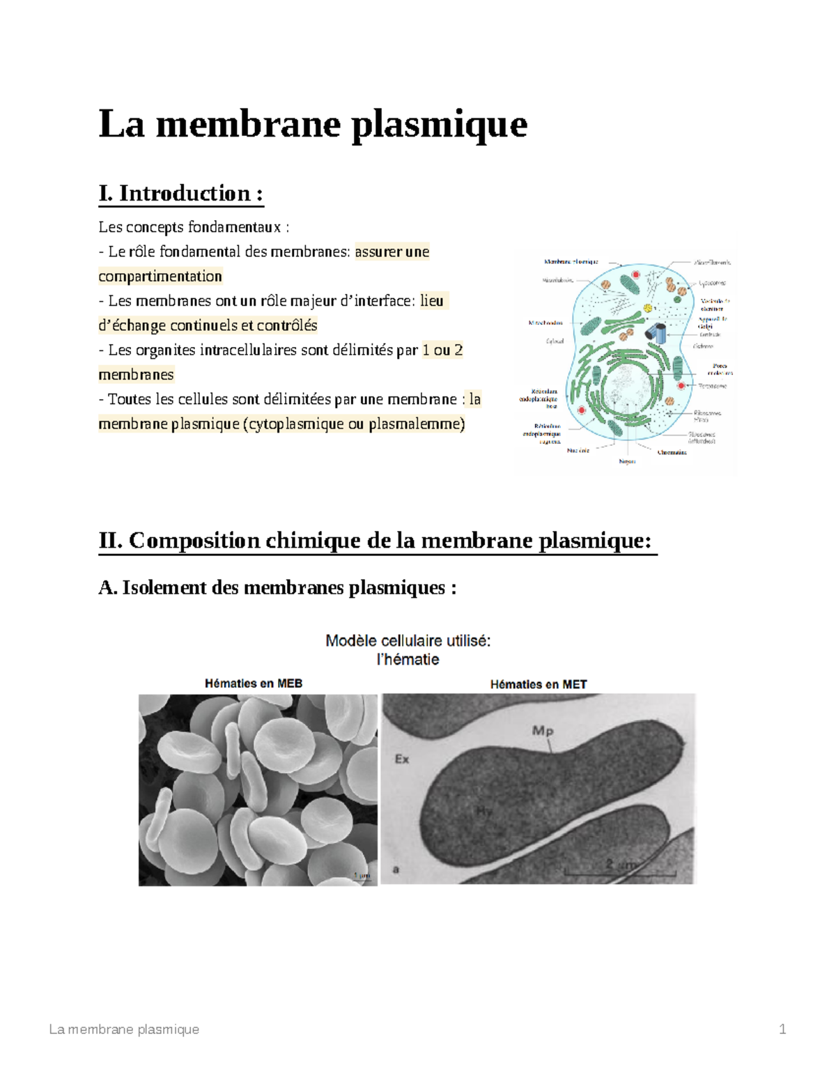La membrane plasmique - Notes de cours S1 sur la structure et fonctions ...