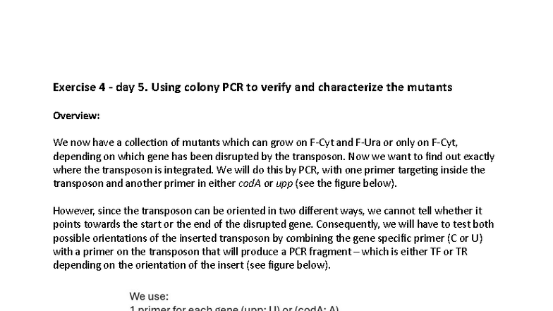 Exercise 4 Day 5: Colony PCR for Mutant Verification and ...