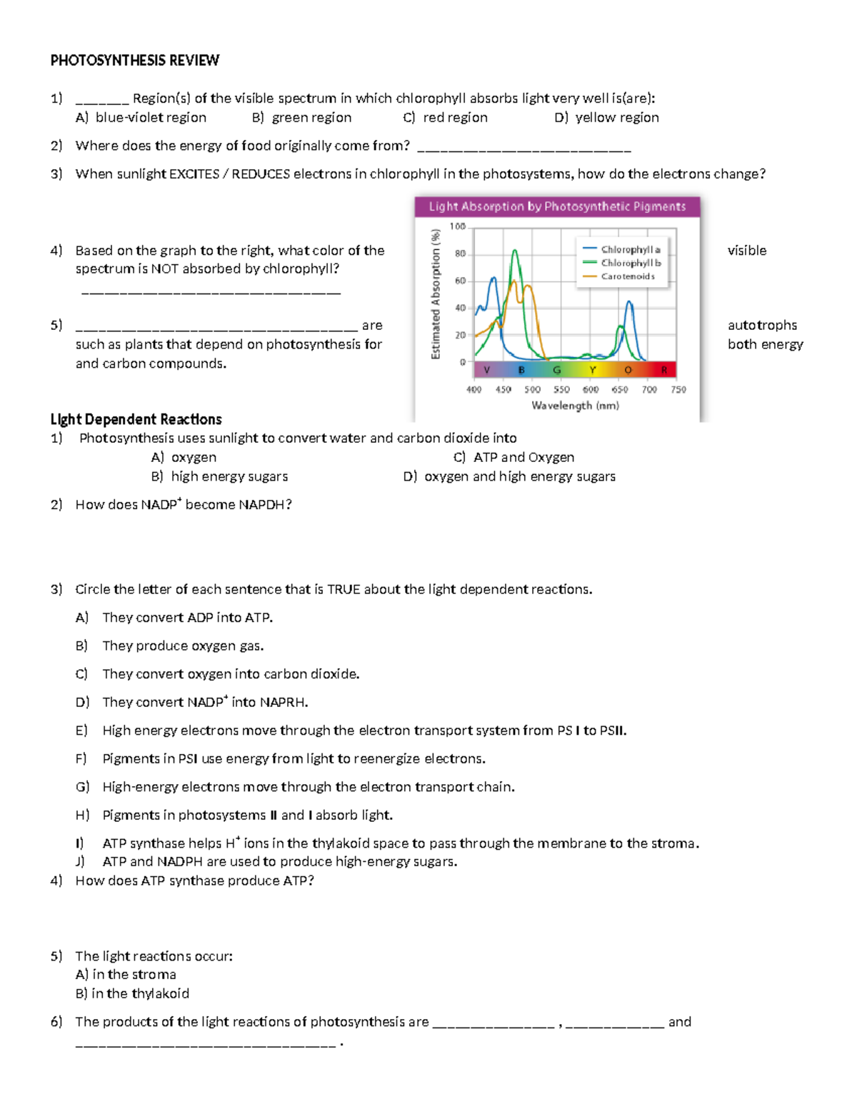 Photosynthesis Review Questions and Key Concepts for Biology 101 - Studocu