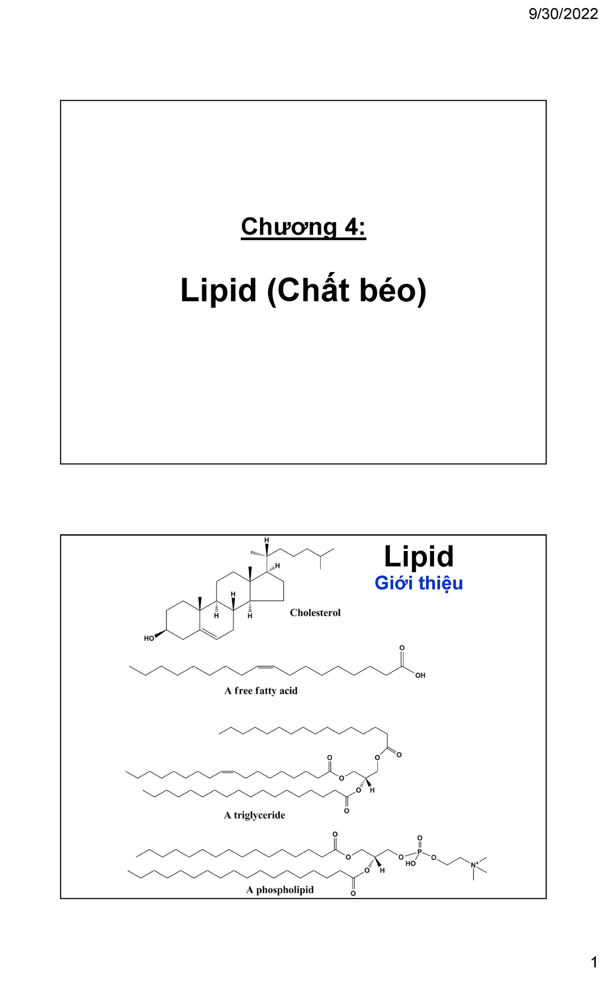 Chương 4 Lipid handout 2022 - Chương 4: Lipid (Chất béo) Lipid Giới ...