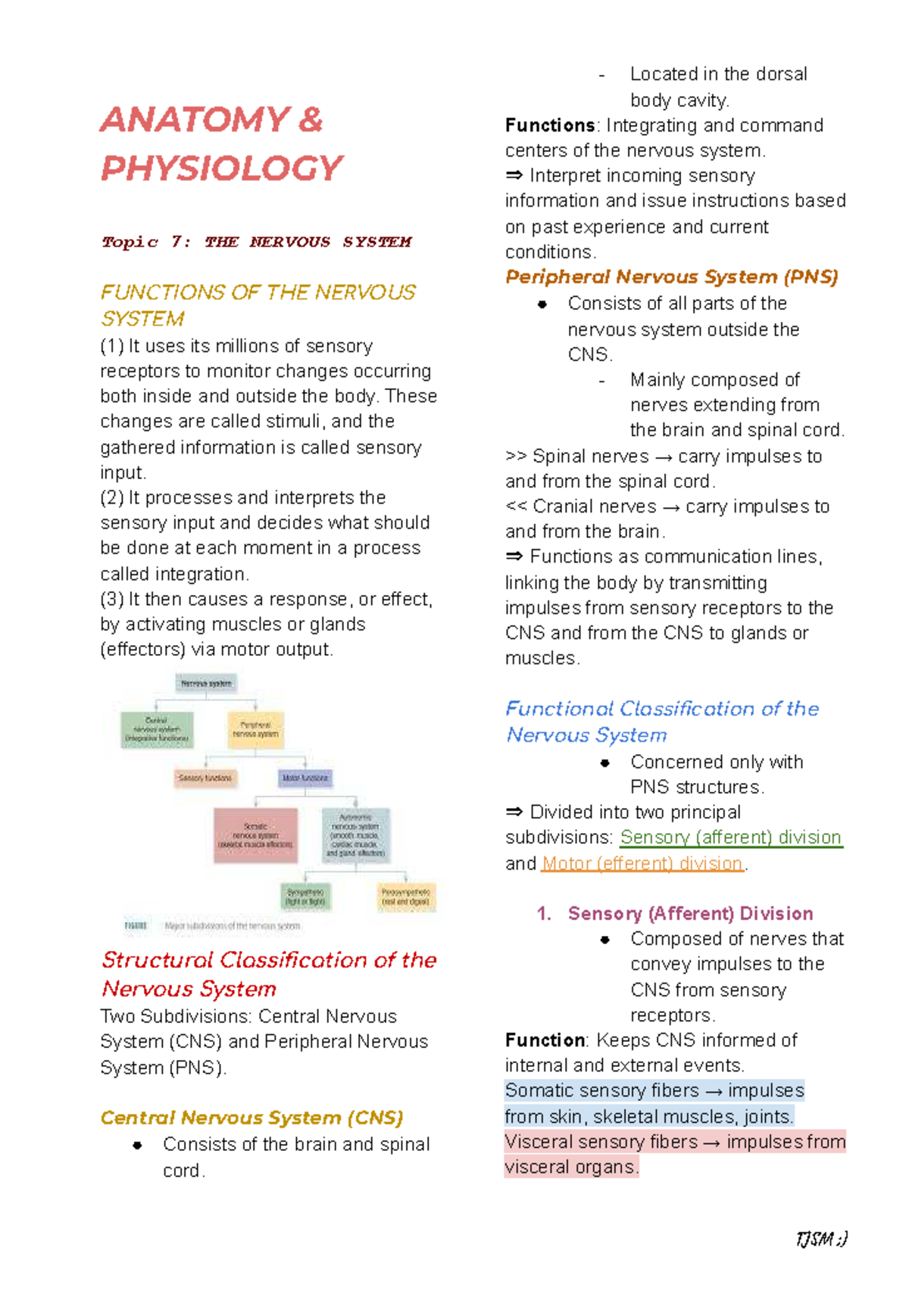 ANATOMY PHYSIOLOGY Topic 7: Nervous System Functions and Structure ...