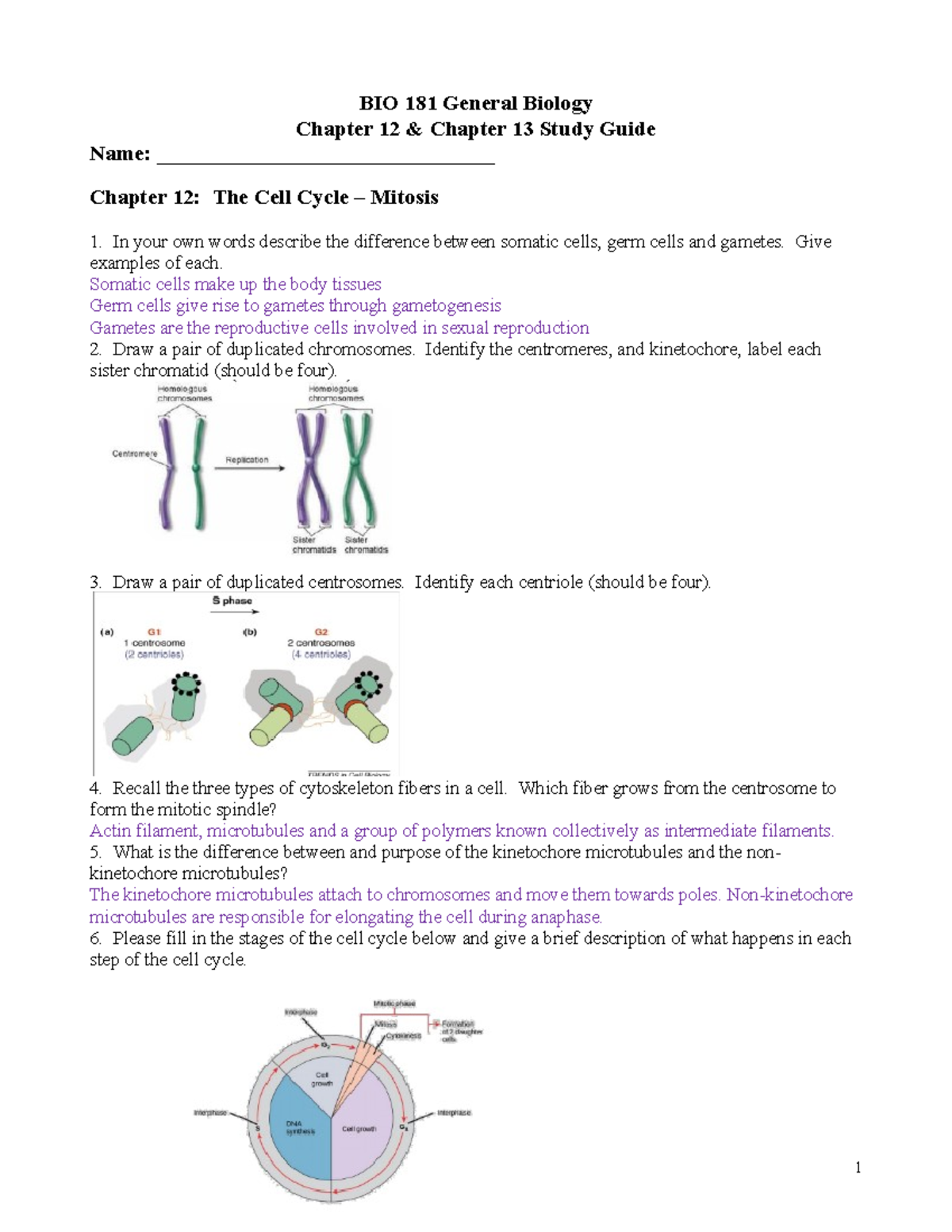 BIO 181 Chapter 12 & 13 Study Guide: Cell Division & Meiosis F23 - Studocu