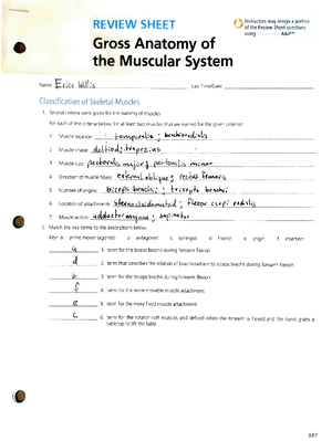 Chapter 6 MCQs: Key Concepts and Terminology Review - Studocu