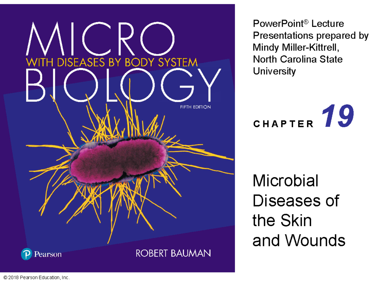 Chapter 19 - PowerPoint ® Lecture Presentations prepared by Mindy ...