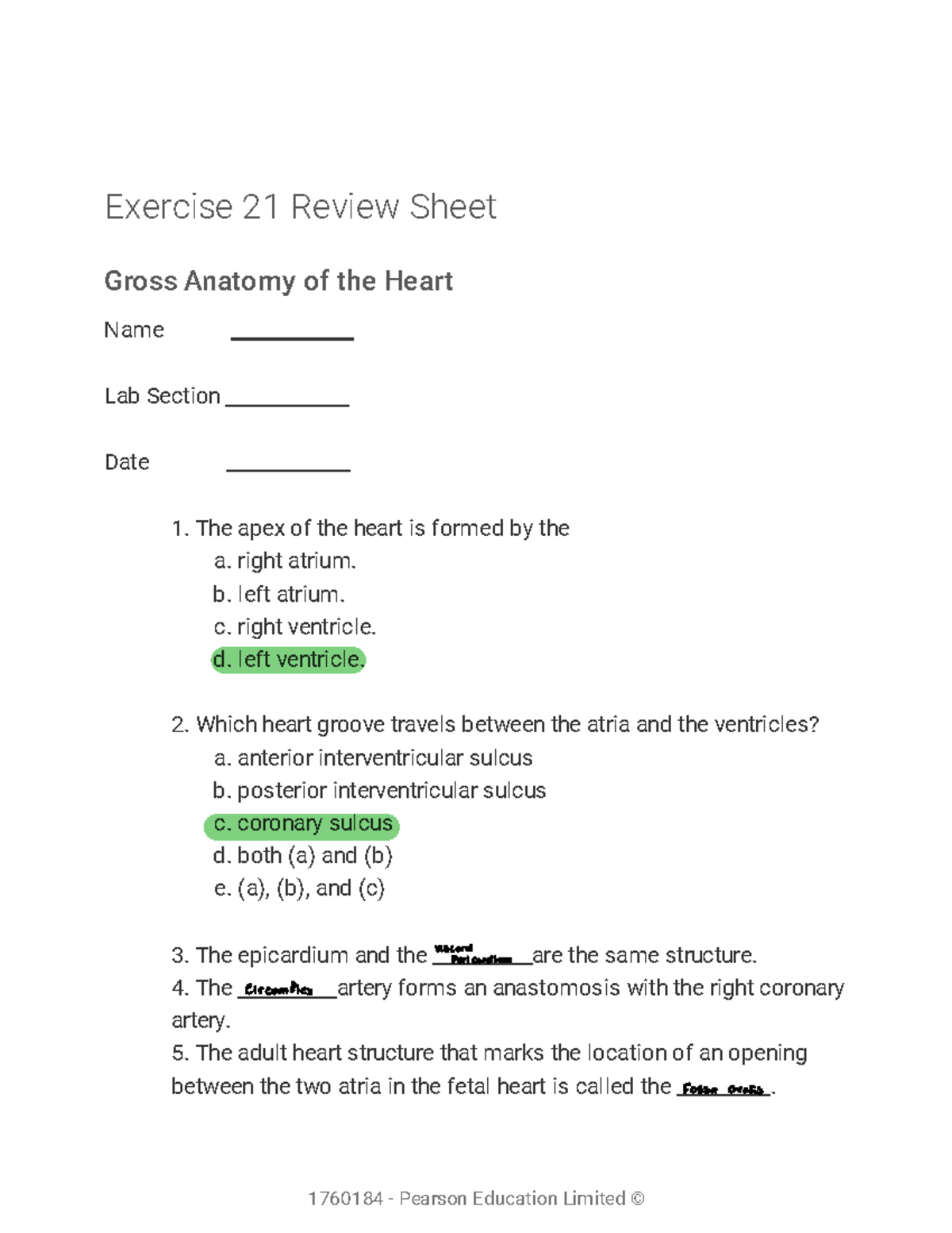 Chapter 21 - completed lab assignment - Exercise 21 Review Sheet Gross Anatomy of the Heart Name ...