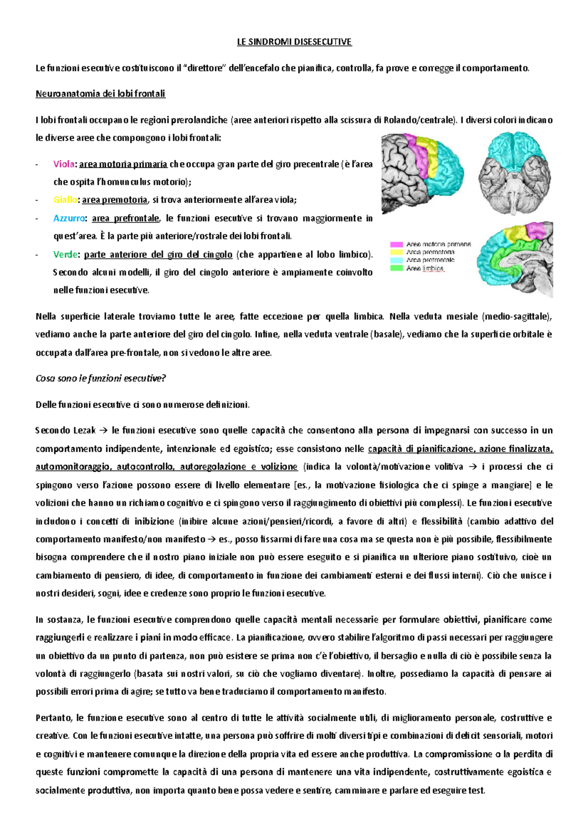 Sindrome Disesecutiva: Funzioni Esecutive e Neuroanatomia dei Lobi ...