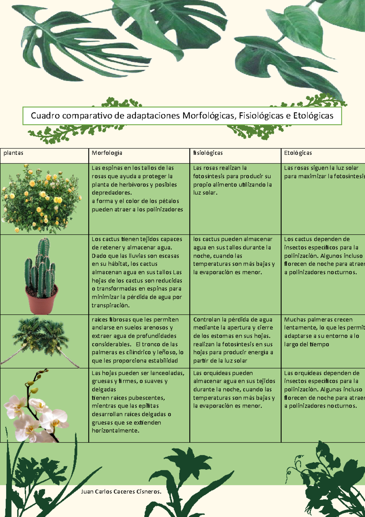 Cuadro Comparativo de Adaptaciones de Plantas y Animales - Studocu
